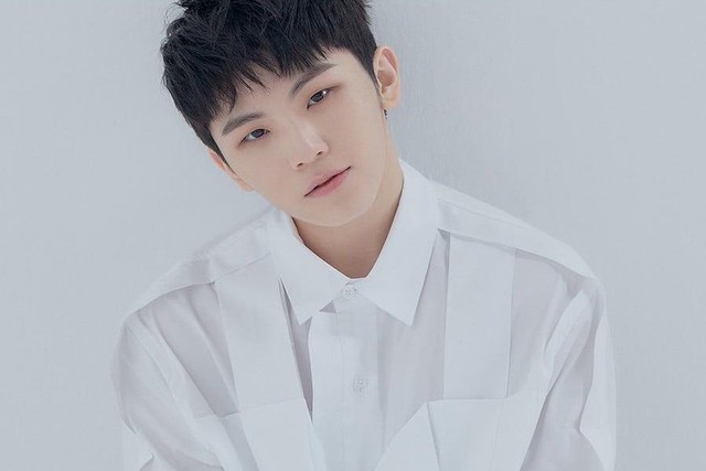 Nama Fandom Seventeen dan Biodata Para Membernya | kumparan.com
