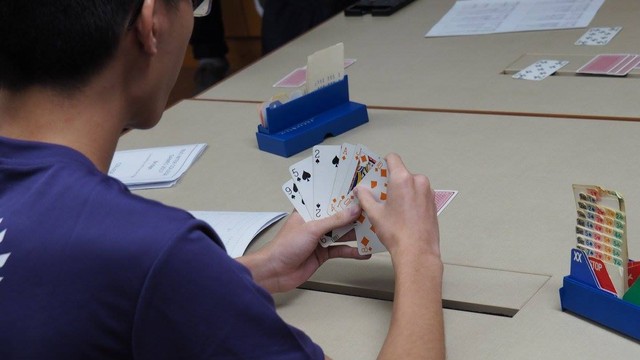 Apa itu Bridge dalam Permainan Kartu? | kumparan.com