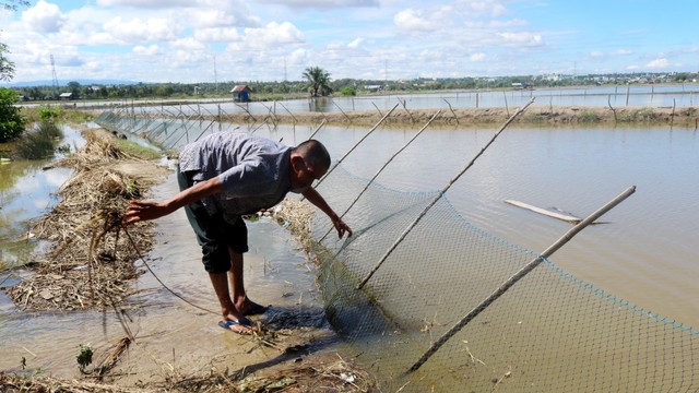 Imbas Banjir Aceh, Petani Tambak Udang dan Ikan Rugi Puluhan Ton | kumparan.com