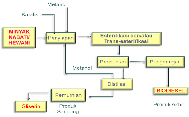 Apa Itu Biodiesel? Kenalan dengan Bahan Bakar Nabati Ini, yuk ...