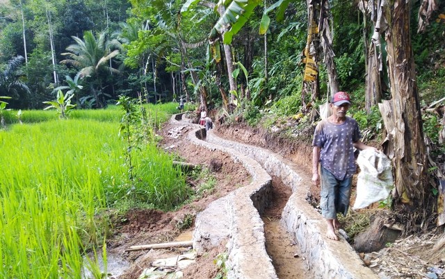 Perkuat Sektor Pertanian, Kementan Realisasikan Program DAM Parit di ...