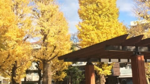 Konten dari Saud Ringo - kumparan