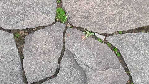 Konten dari antikariska50 - kumparan