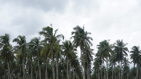 Konten dari Ratu Nabillah - kumparan