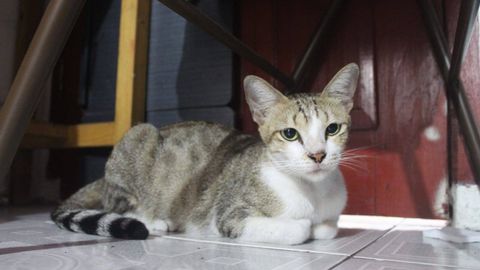 Konten dari Soke Bahtera - kumparan