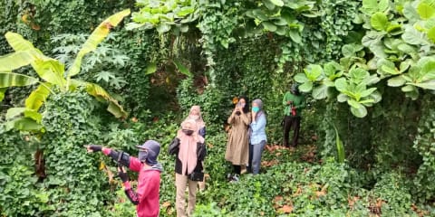 Konten dari Tyas Amanda - kumparan