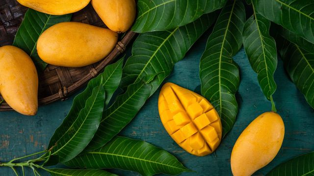 Resep Sambal Pencit Lezat dan Praktis | kumparan.com