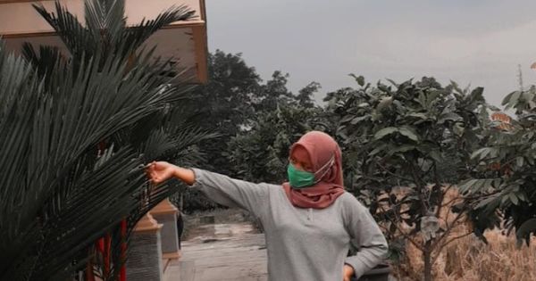 Konten dari Sekar Ayu Octaviani - kumparan