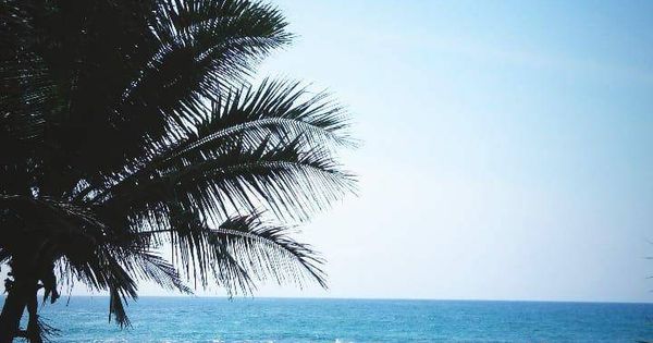 Konten dari Annisa Olivia Restiani - kumparan