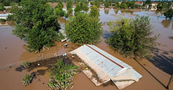 Banjir di Libya: Berita Banjir di Libya Terbaru dan Terupdate - kumparan