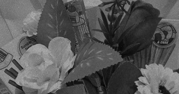 Konten dari antikariska50 - kumparan