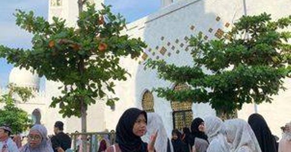 Konten dari Diana Aulia - kumparan