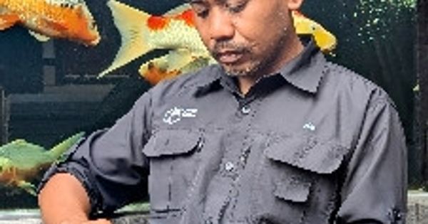 Konten dari Satria One - kumparan