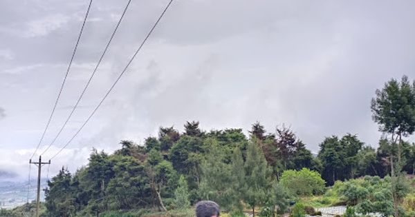 Konten dari dwi teguh - kumparan