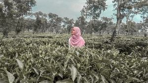 Konten dari Dian Novita Anggraeni - kumparan