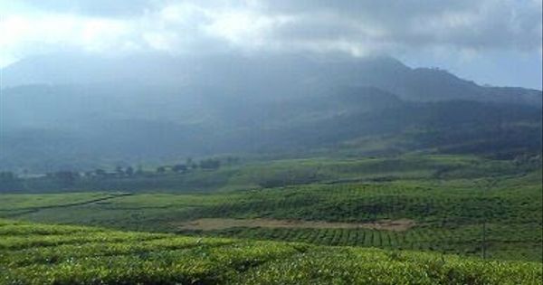 Konten dari Safa Kamilyah Azmi - kumparan