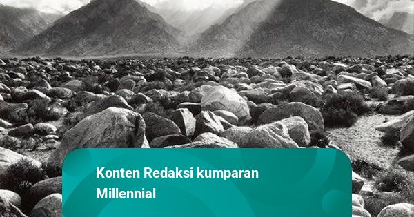 Tips Fotografi: Mengenal Zona Sistem, Acuan Fotografi Hitam Putih ...