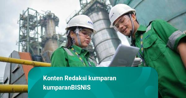 Prodi Pulp dan Kertas di UNRI: Cetak Lulusan Unggul hingga Beri Peluang ...