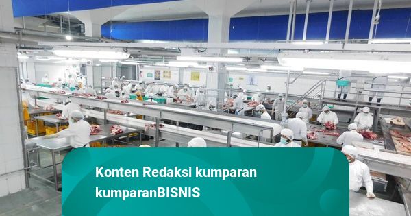 Pemerintah Impor 20 Ribu Ton Daging Kerbau Beku Jelang Puasa | kumparan.com