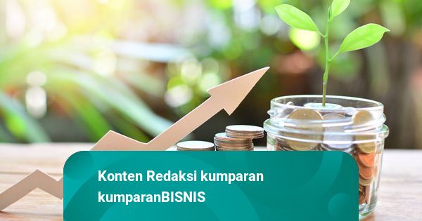 Reksa Dana Disebut Investasi yang Diminati Milenial, Modalnya Cukup Rp ...