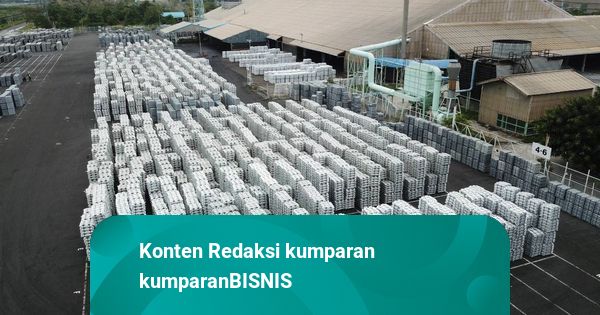 Ditunjuk Jadi Dirut Inalum, Danny Praditya Tak Bisa Merangkap Komisaris ...