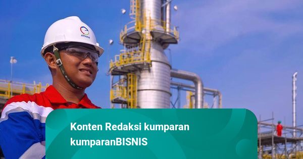 Fokus Bisnis Energi Bersih, Elnusa Pakai Teknologi Reservoir EOR di ...