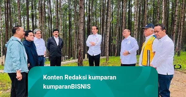 Ini 9 Proyek IKN yang Segera Dibangun dari Dana Investasi | kumparan.com