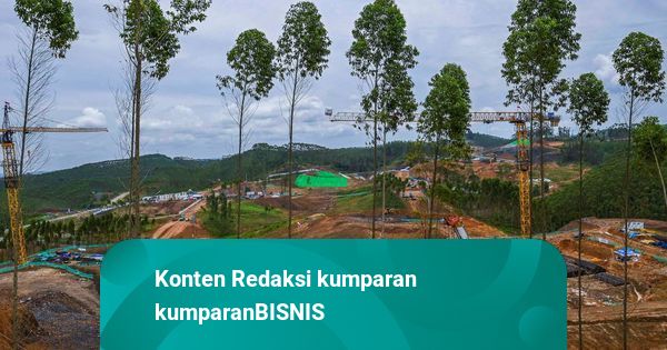Pemerintah Siapkan 800 Hektar Lahan di IKN Nusantara untuk Investor ...