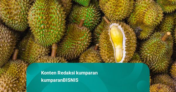 Ekspor Durian RI dalam 5 Tahun Terakhir Relatif Tumbuh, Capai Rp 56,5 ...