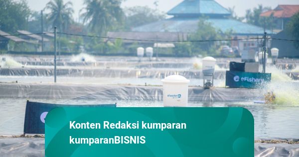 Populer: eFishery PHK 90 Persen Karyawan ; TVRI dan RRI Sepakat Tak PHK ...