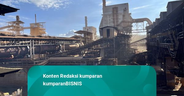 RUPS Vale Indonesia Tebar Dividen USD 45,6 Juta, 60 Persen dari Laba ...