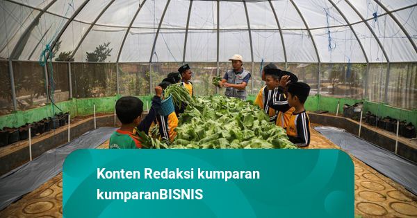 Foto: PEP Poleng Field Dukung Transformasi Desa Tertinggal Menjadi Desa ...