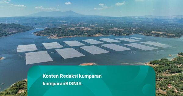 PLN Bangun PLTS Apung Terbesar se-ASEAN, Percepat Energi Terbarukan ...