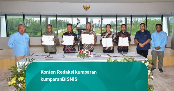 Otorita IKN Bangun Embung dan Kolam Retensi Demi Air yang Berkelanjutan ...