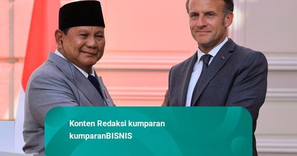 Rosan: Pembentukan Dewan Bisnis RI-Prancis Jadi Mesin Penggerak ...