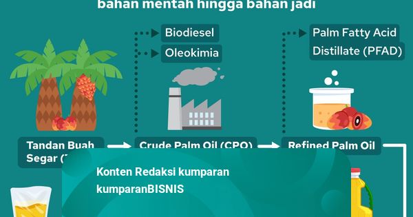 Infografik: Alur Proses Sawit Jadi Minyak Goreng | kumparan.com
