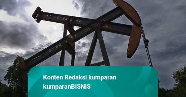 SKK Migas: Ada Gas Bumi 350 MMSCFD yang Tak Terjual Bulan Ini ...