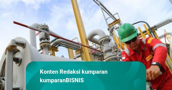 Ada Tangguh Train 3, SKK Migas Target Produksi LNG 250 Kargo di 2024 ...