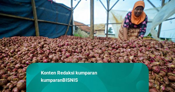NTP Mei 2026 Naik 1,99%, Harga Karet hingga Bawang Dongkrak Pendapatan ...