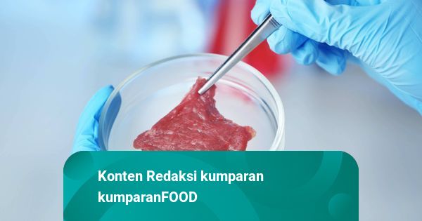 Amerika Legalkan Daging Buatan Laboratorium, Diklaim Mirip dengan Asli ...