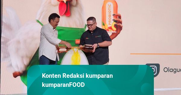 Inovasi Ayam Probiotik Olagud, Diklaim Lebih Bermanfaat untuk ...
