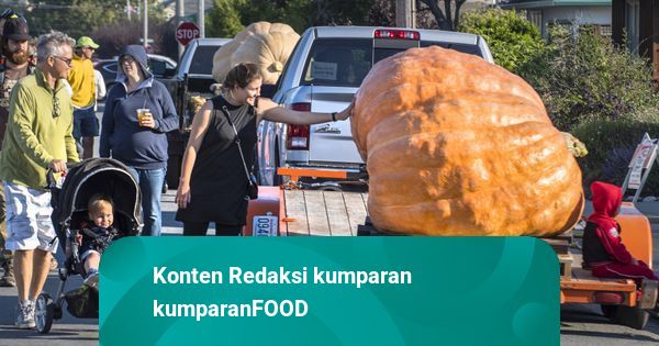 Labu 1.250 Kg di Amerika Didiskualifikasi dari Kompetisi karena Alasan ...