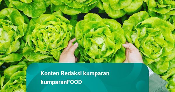 Mengenal 5 Jenis Selada yang Ada di Dunia | kumparan.com