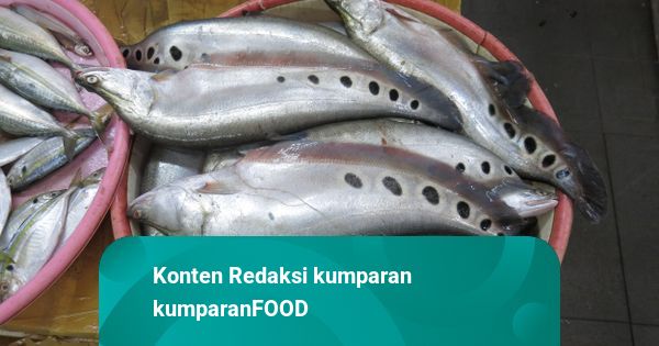 Mengenal Ikan Belida yang Terancam Punah, Bahan Utama Kerupuk sampai ...