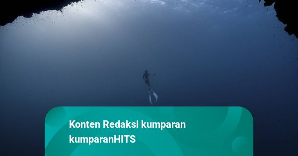 Prilly Latuconsina Bagikan Kisah Temukan Telur Hiu saat Diving di Alor ...