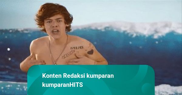 Harry Styles Mengaku Punya Empat Puting Susu | kumparan.com