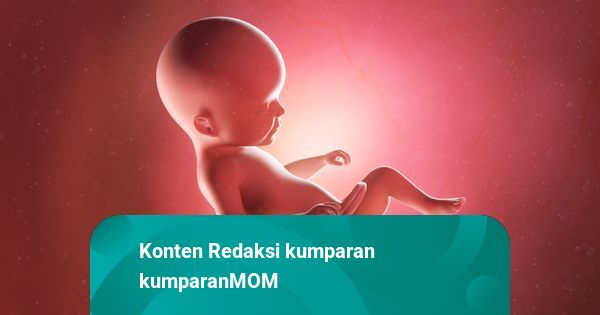 Bagaimana Ciri-ciri Janin Sehat? | kumparan.com