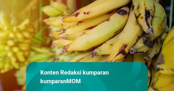 pisang raja bulu untuk bayi