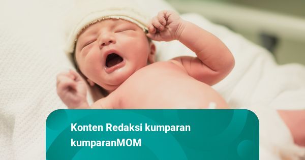 Begini Kerja Lambung Bayi Baru Lahir | kumparan.com