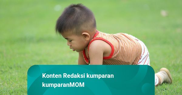3 Hal yang Perlu Orang Tua Ketahui Saat Bayi Belajar Merangkak ...